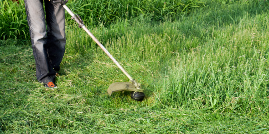 5 Common Strimmer Problems and How to Fix Them | MowShop
